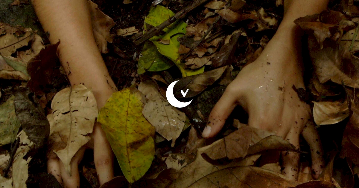 Filmography | Vincent Moon