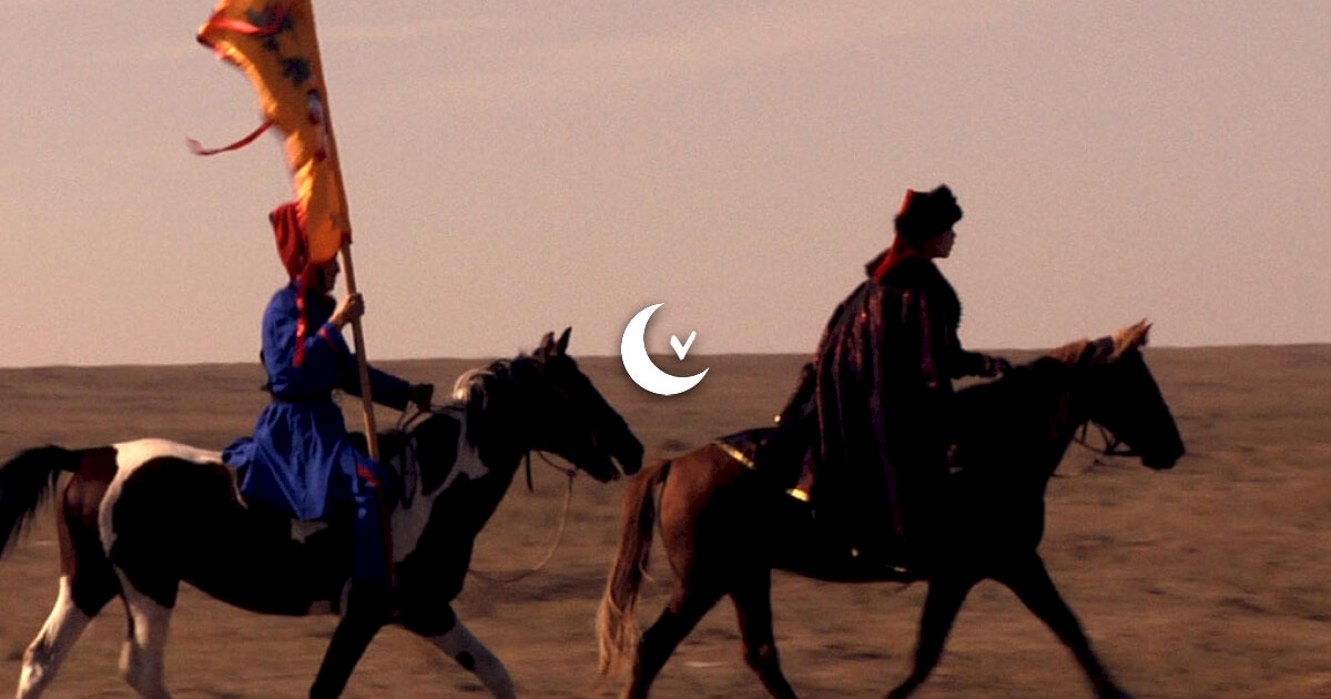 Filmography | Vincent Moon